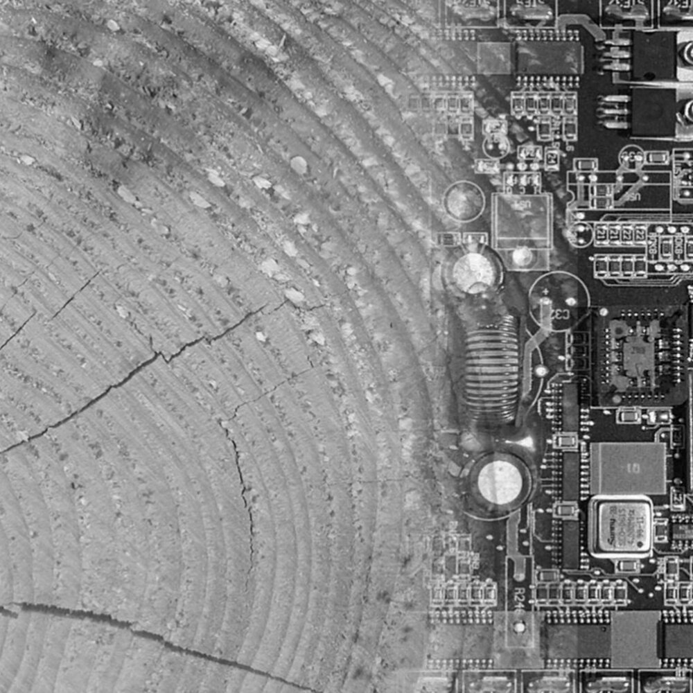 MiCROTEC - Marca e historia